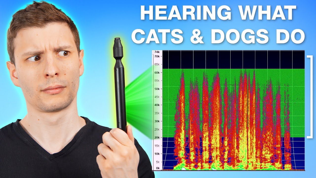 A $2500 ultrasonic microphone lets you hear like animals