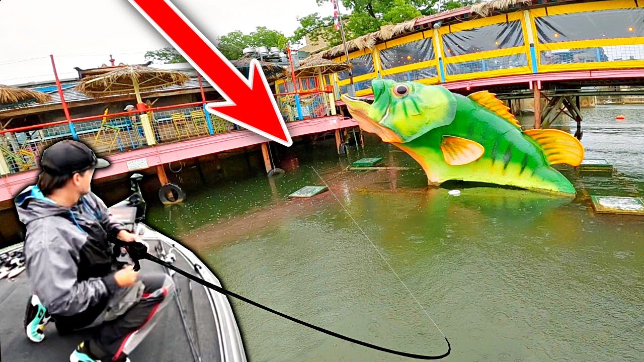 The last place I expected to catch massive monster fish