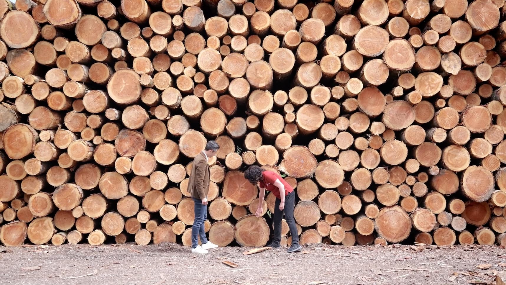 Schilliger Bois repense la construction durable avec son innovation ...