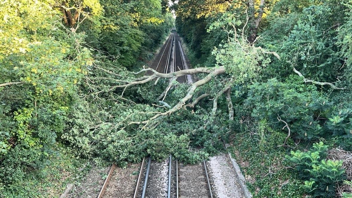 Southern Rail: Sussex train delays explained after multiple incidents ...