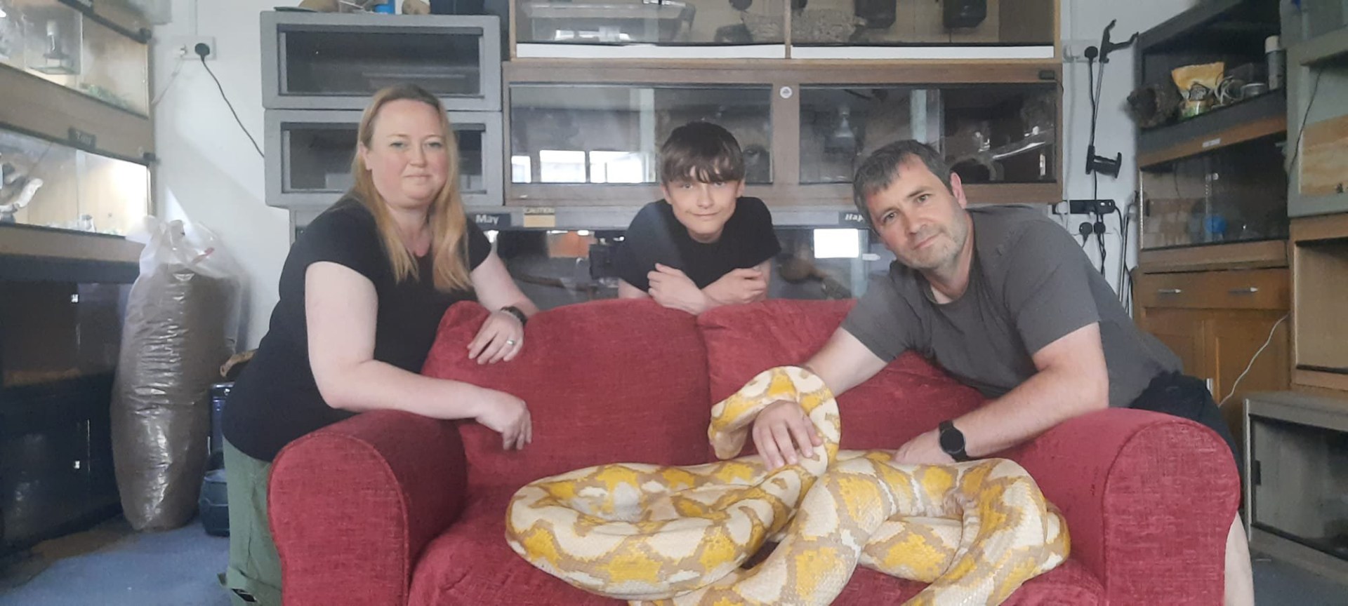 Fifth massive python rescued in Lincolnshire