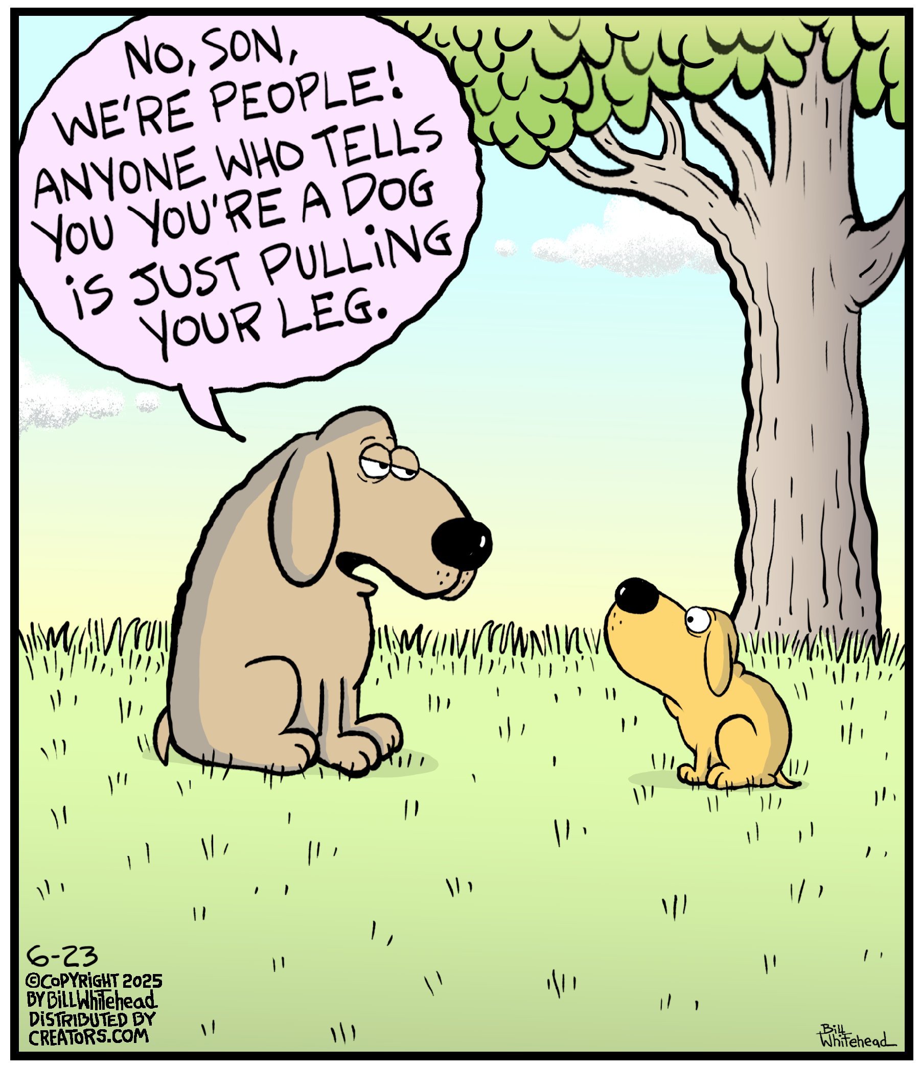 Latest Comic Strips From The Creators Syndicate (6/23)