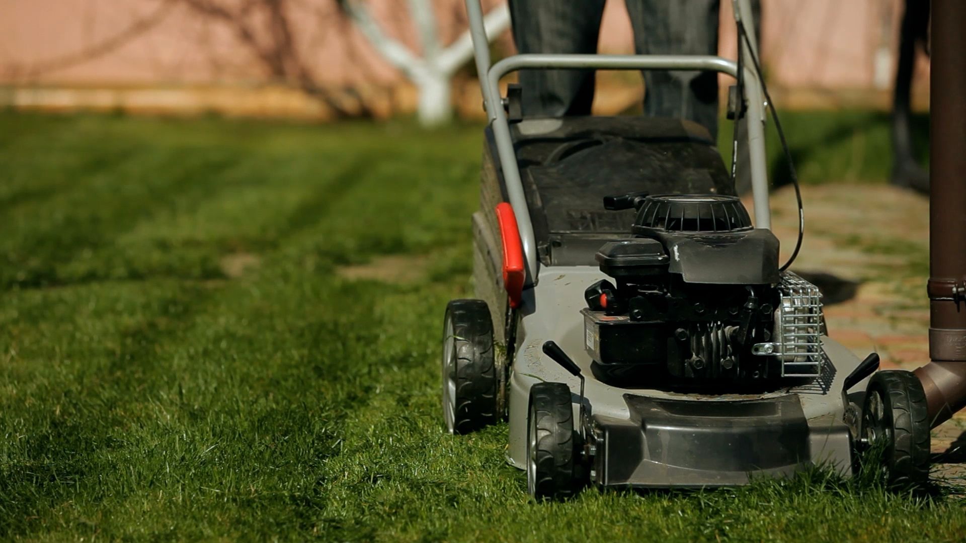 Was der Duft von frisch gemähtem Rasen wirklich bedeutet