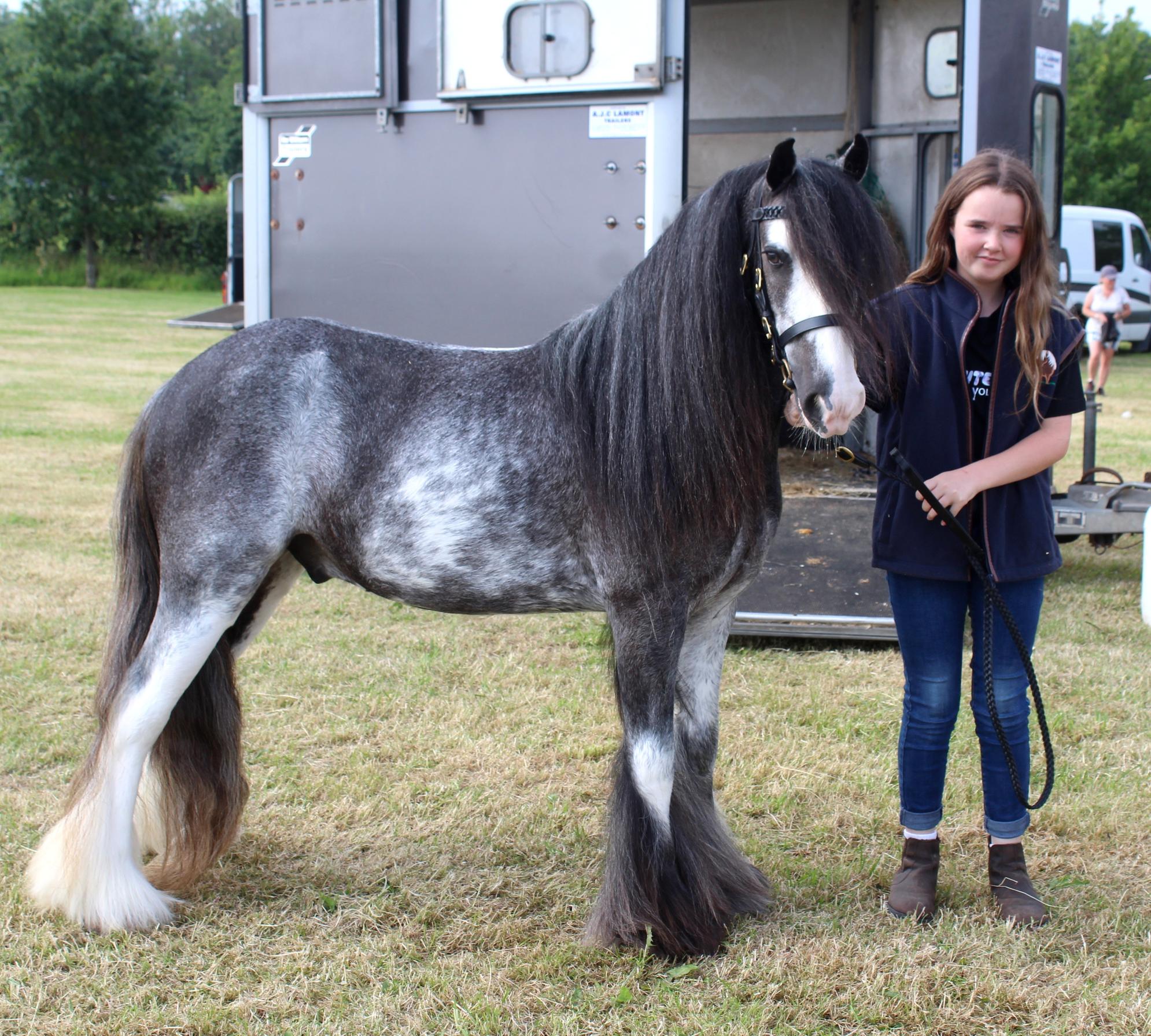 Red letter day at Saintfield Show