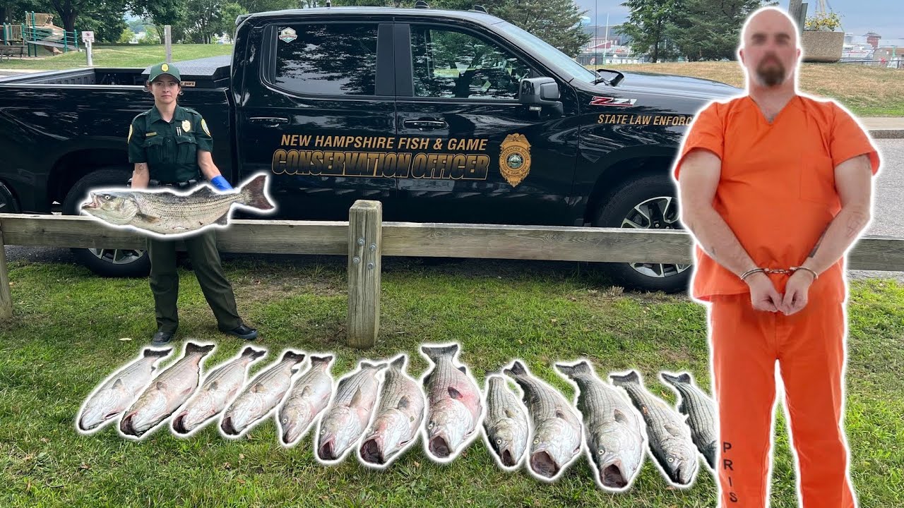 Dirty fisherman arrested for lying and poaching striped bass