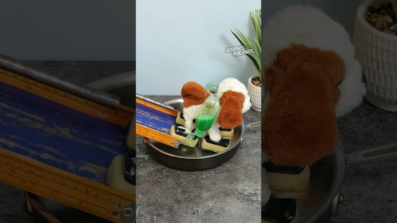 The Most Helpful Pup in the Kitchen