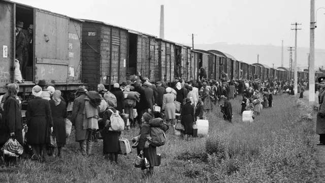 50 Rare Historical Photos of the World in 1946