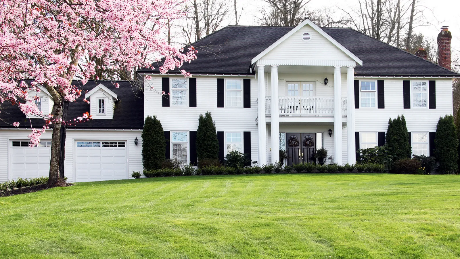 15 Small Trees That Add Color and Charm to Your Yard