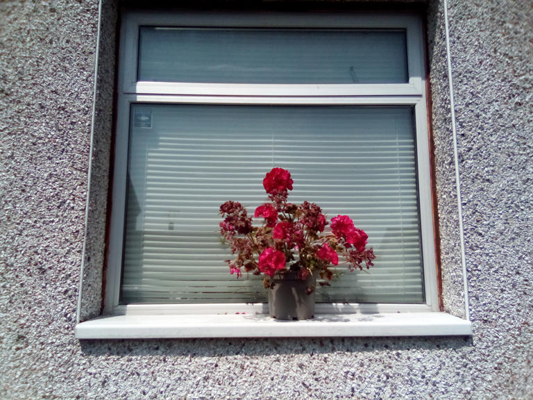 Alcatel 1 (2021) review: this $50 smartphone is borderline unusable