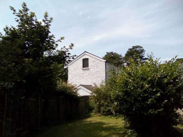 Alcatel 1 (2021) review: this $50 smartphone is borderline unusable