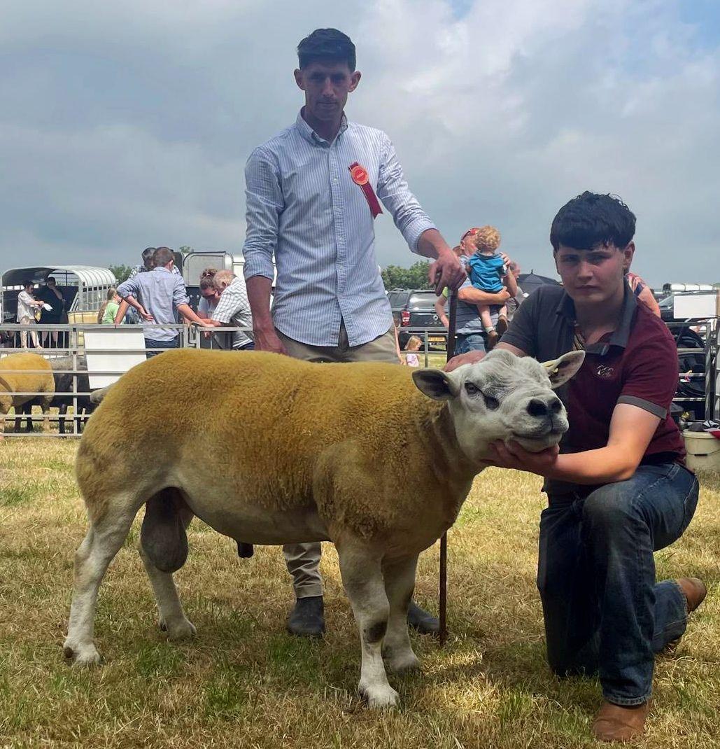 Templepark Texel clinches Texel Champion at Saintfield Show
