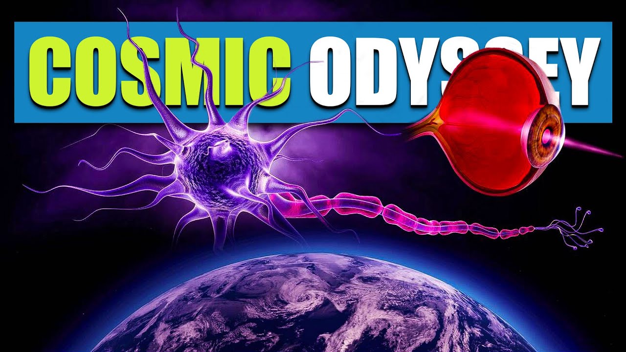 Panspermia; Life Across the Universe?