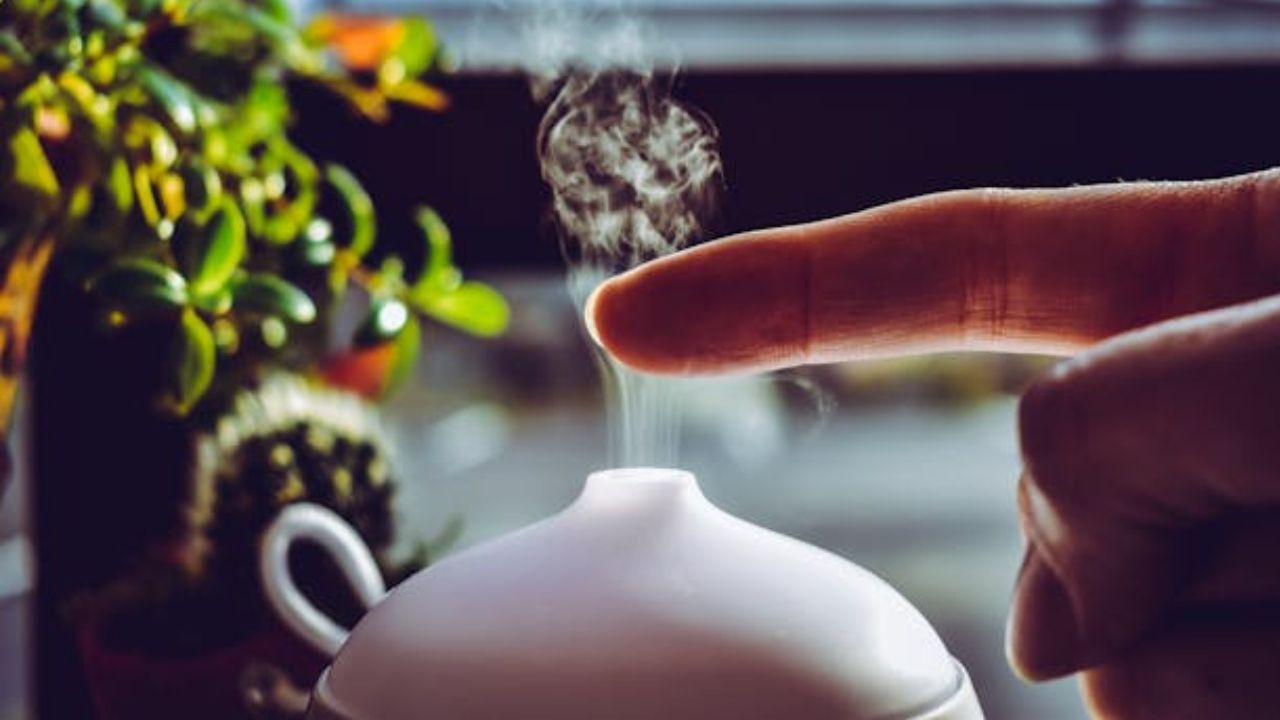 Do you want your house to smell good? Experts share the best scents for ...