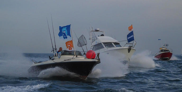 Competition hots up on first day of Sea Angling Classic 2025