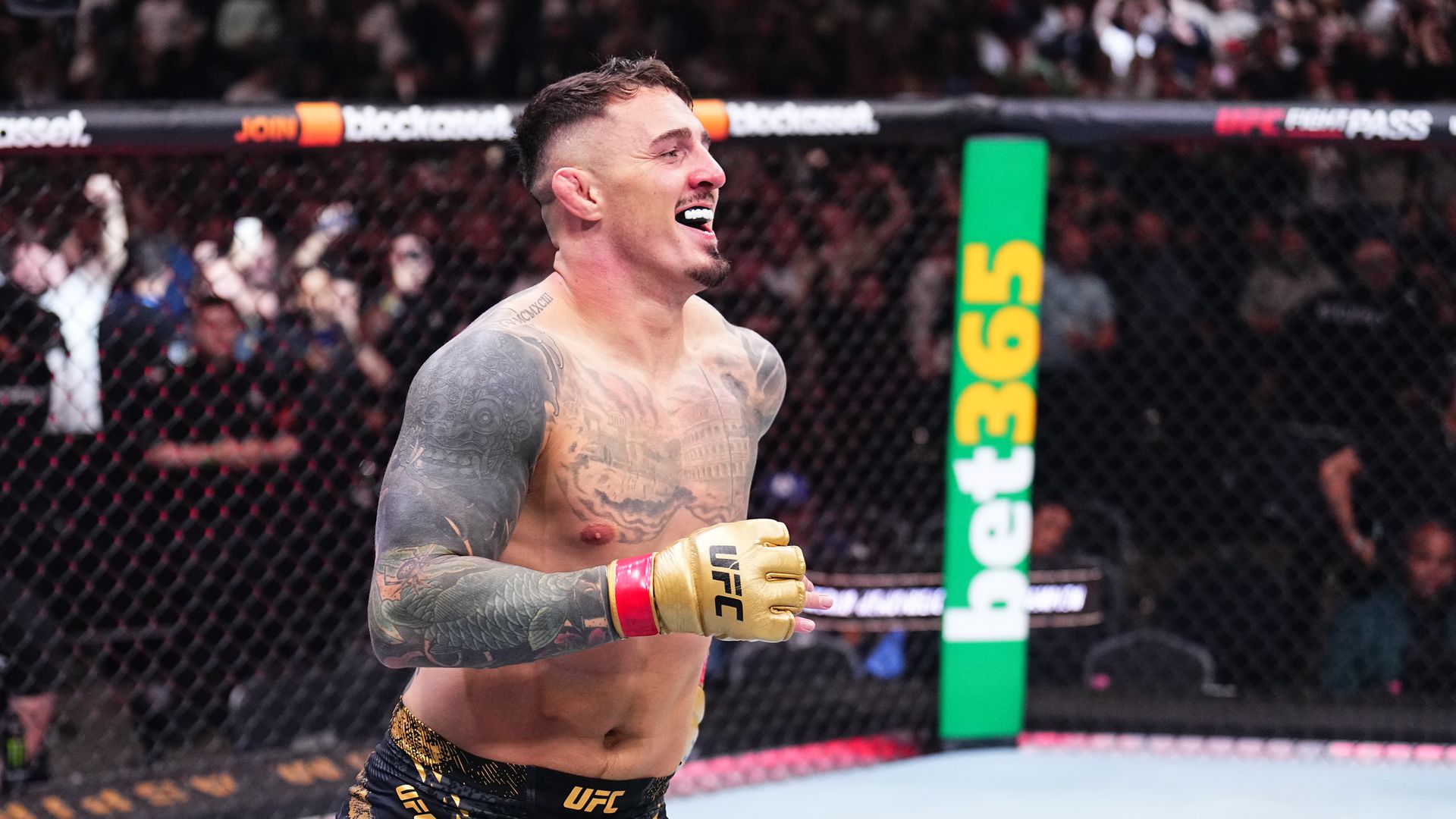 Aspinall Heavy Favorite To Beat ‘Bon Gamin’