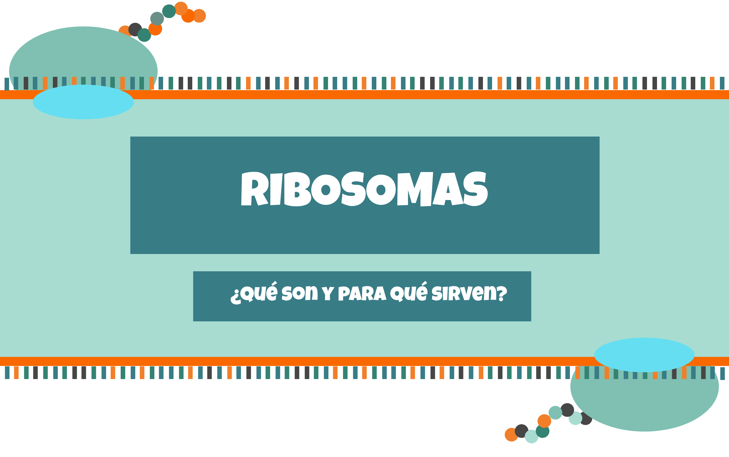 Ribosomas: función, estructura y producción — Guía completa y actualizada