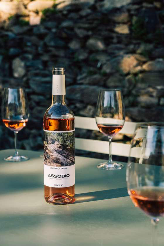 Assobio: uma perspetiva diferente do Douro