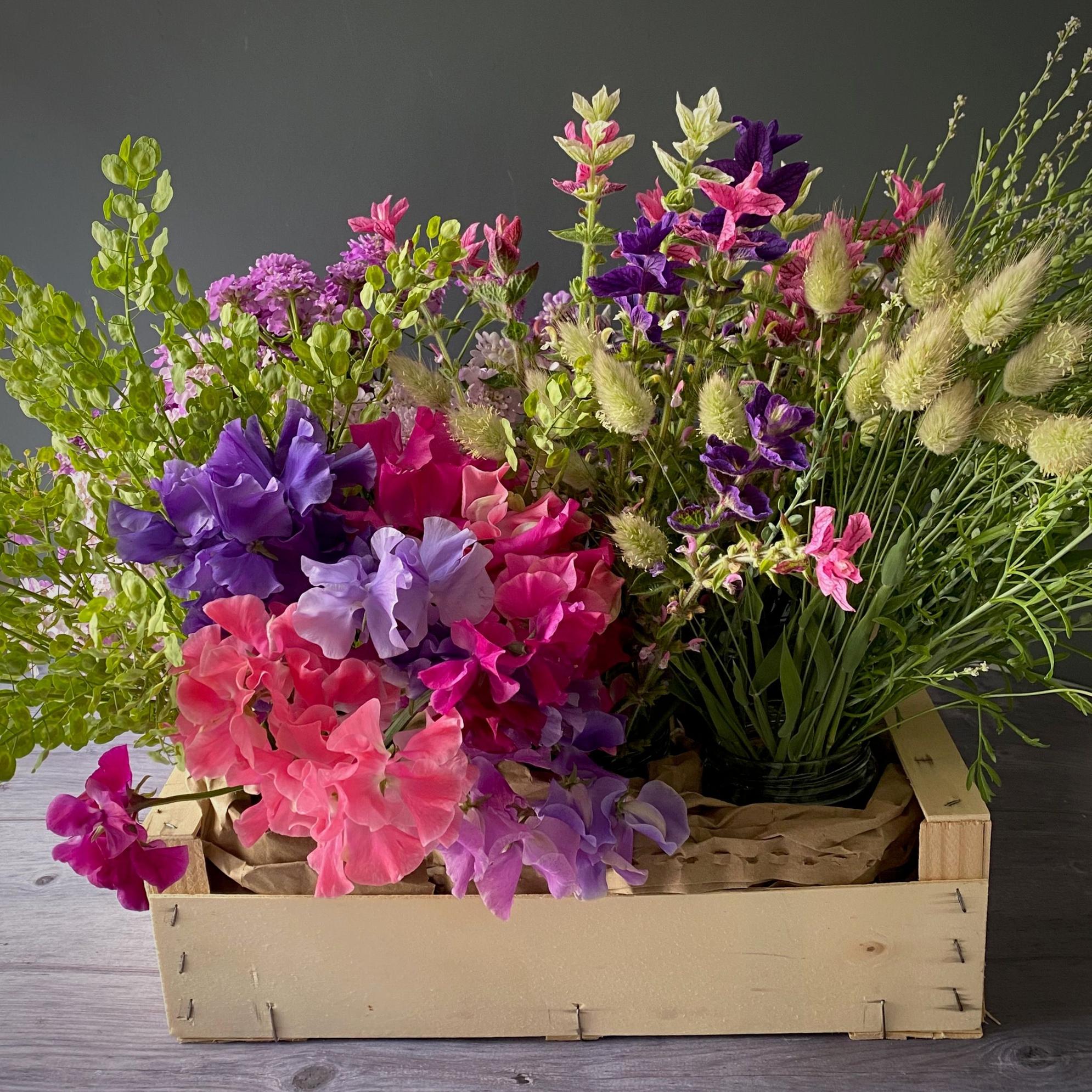 Brightling Village Hall Happenings