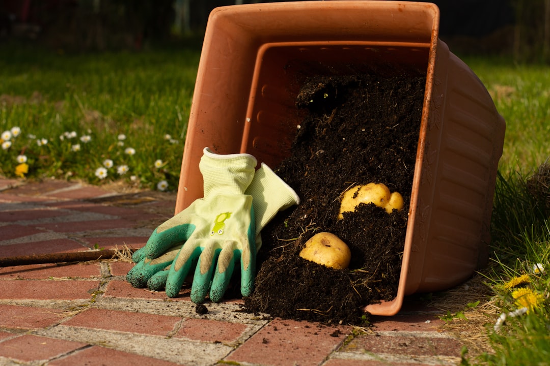 The Downside of Composting Few Are Willing to Admit