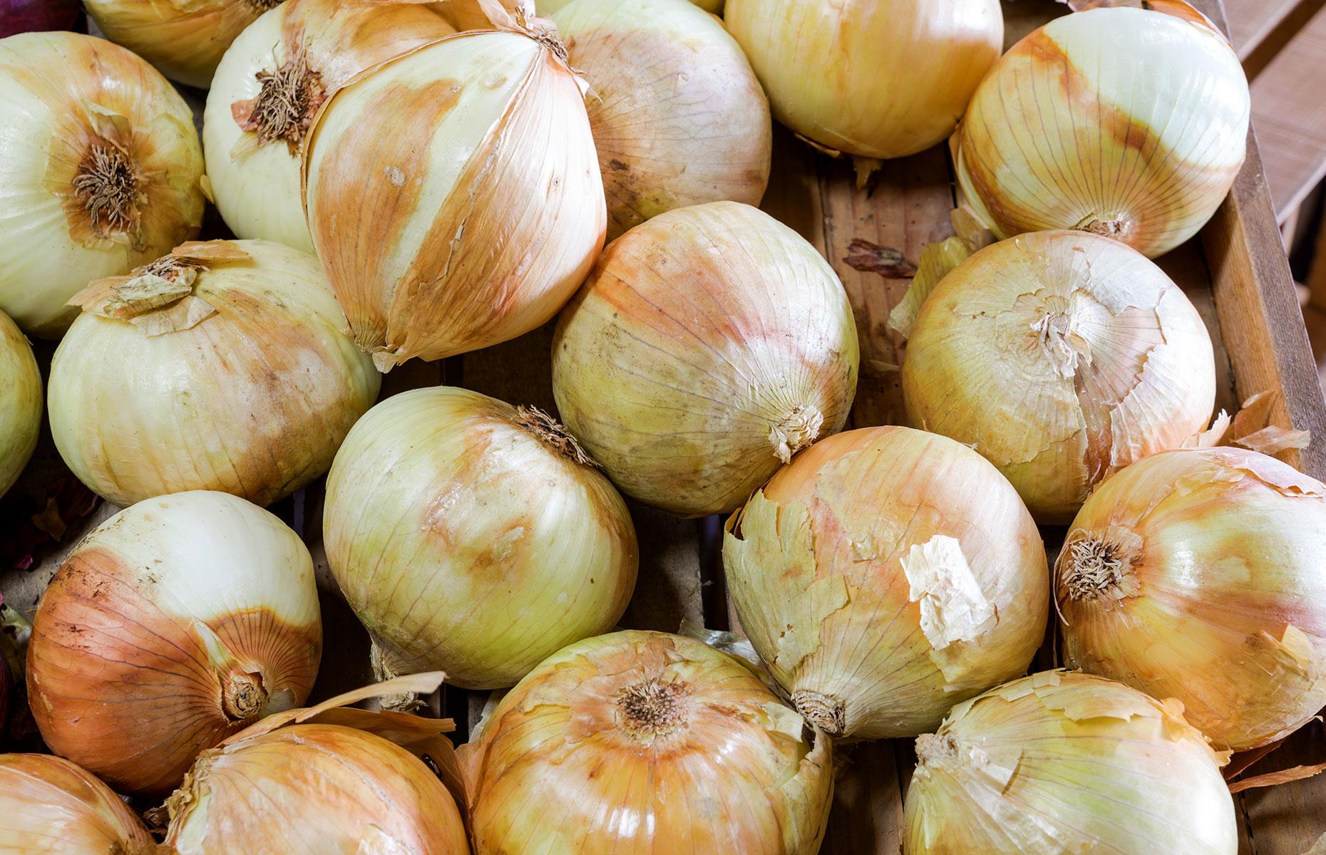 26 common foods that could become extinct soon