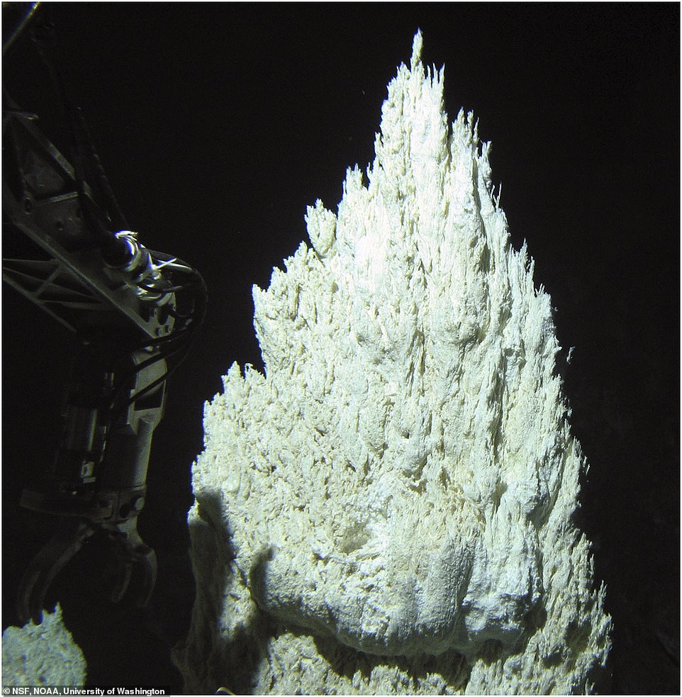 Ancient 'lost city' found at bottom of the Atlantic Ocean