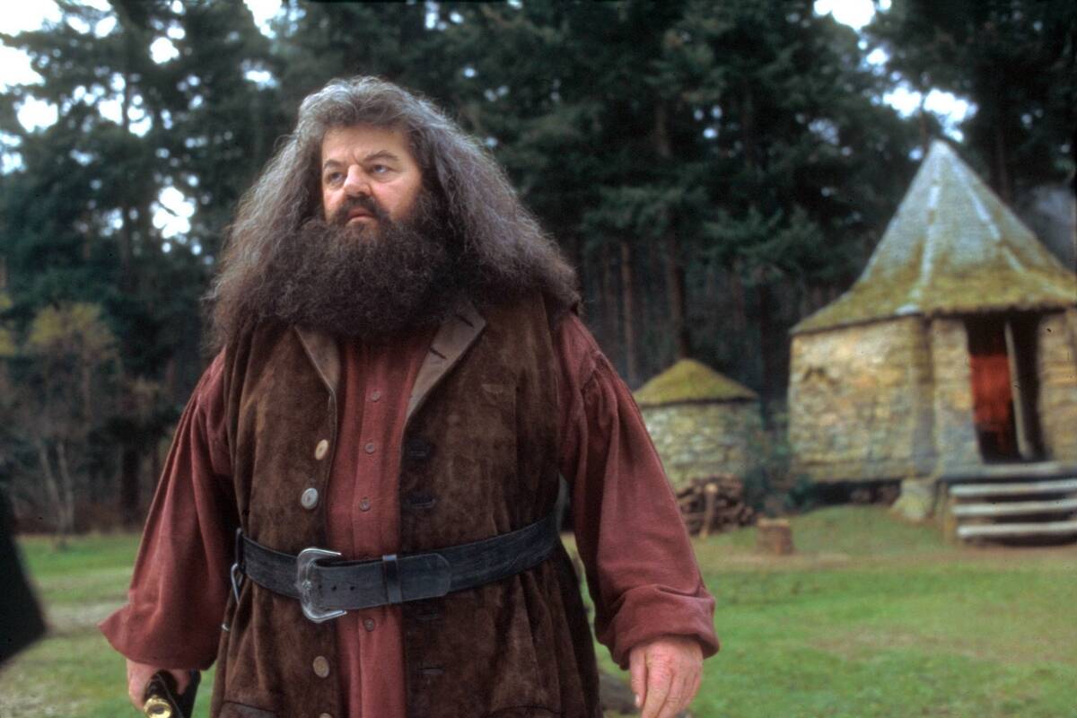 Magical Behind-The-Scenes Secrets About 'Harry Potter'