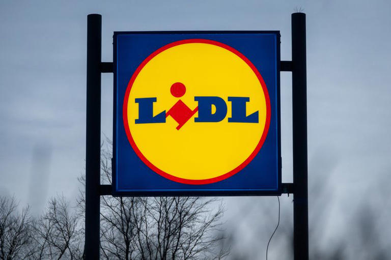 Lidl shoppers can make cooking easier with '15-in-1' device that 'does ...