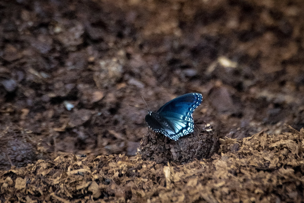 The Downside of Composting Few Are Willing to Admit