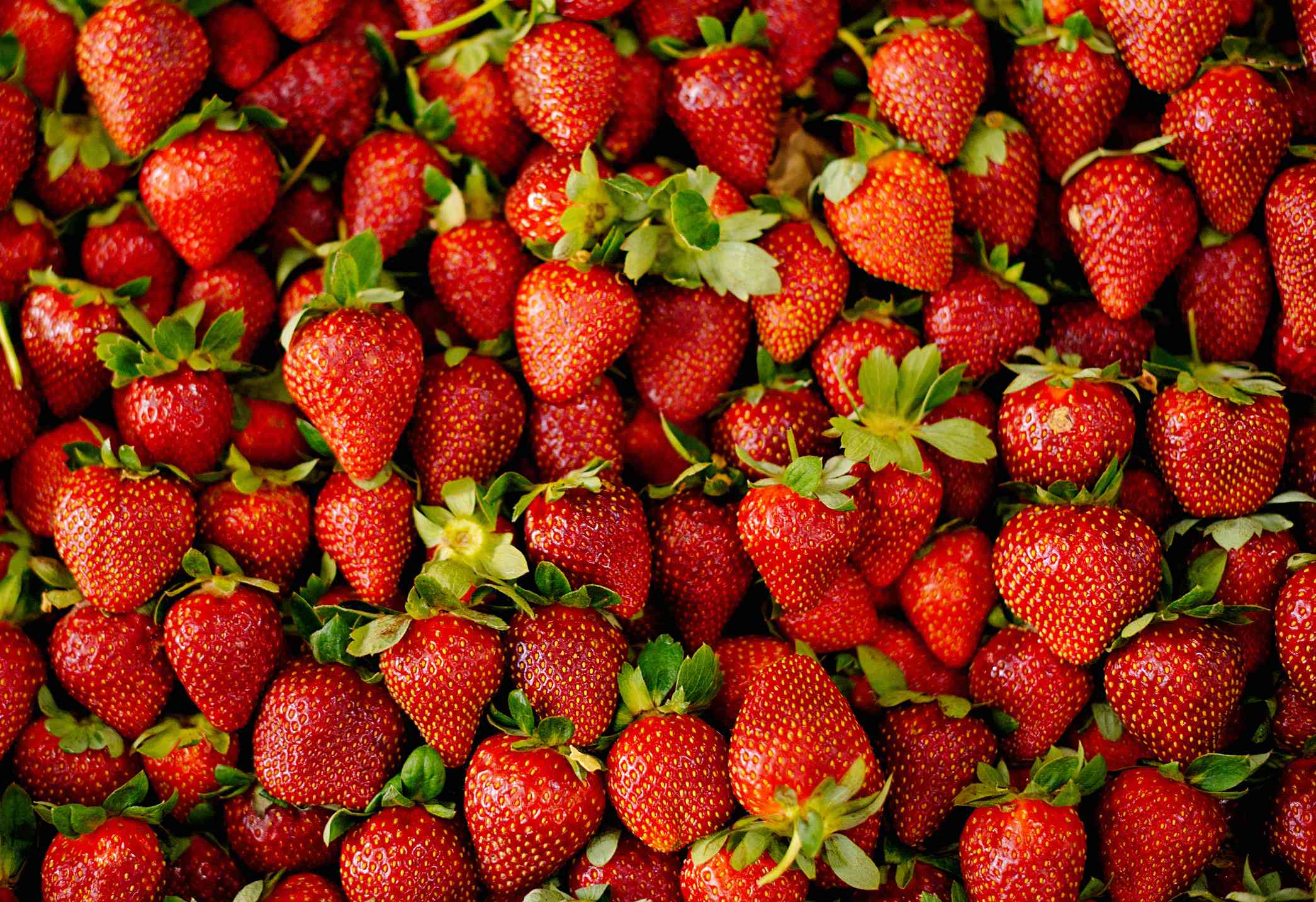 The Only Way To Store Strawberries So They Last, According To Experts
