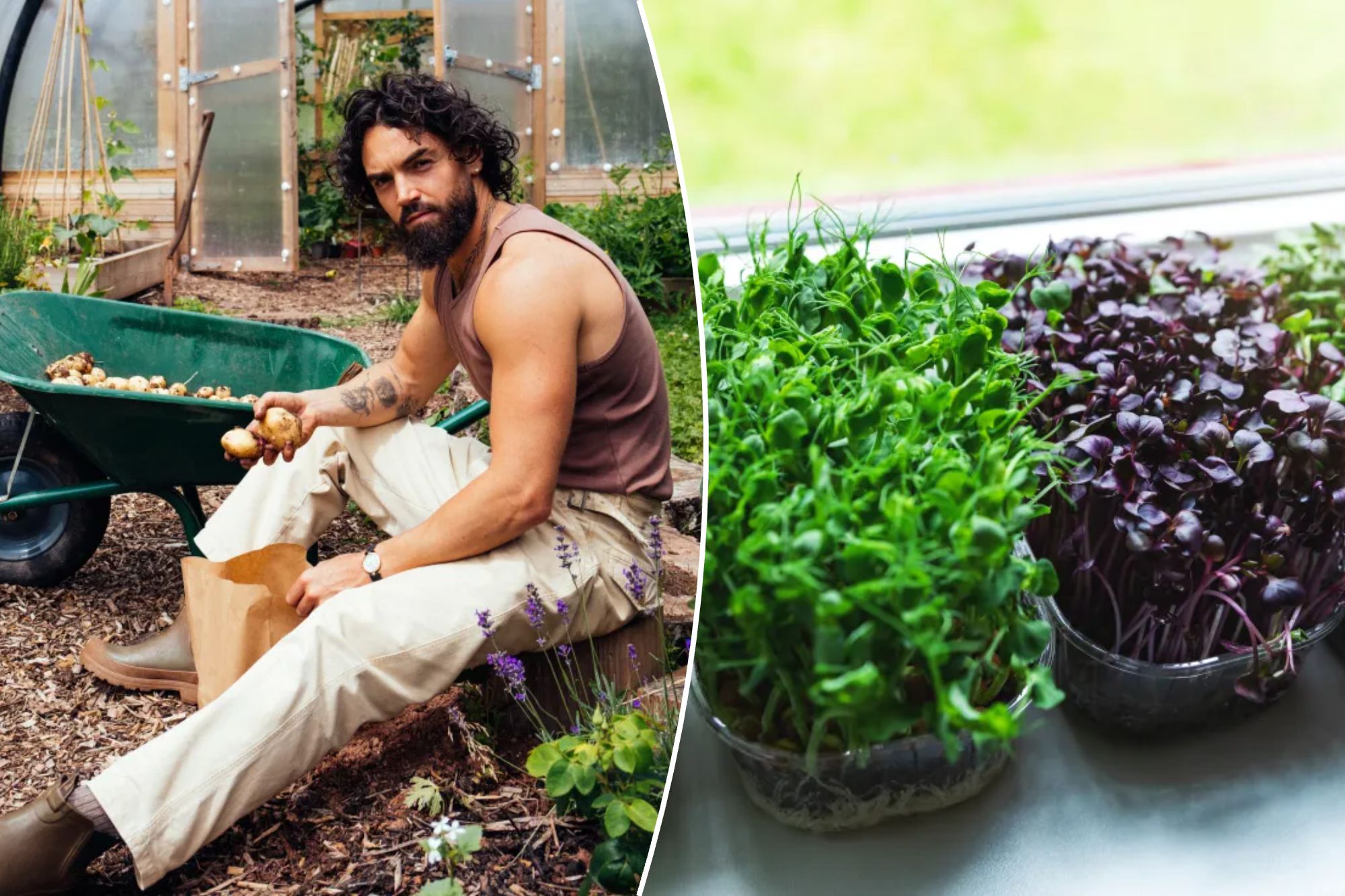 3 easy, healthy foods you can grow at home — even if you only have a ...