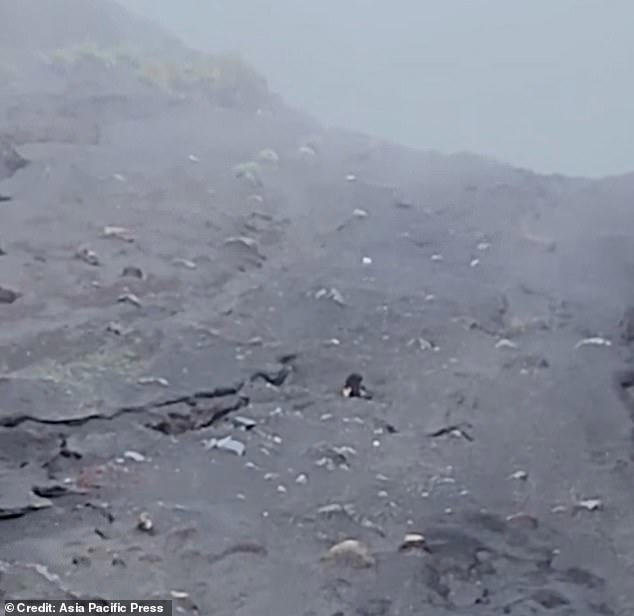 Desperate bid to save pole dancer from Indonesian volcano after she ...