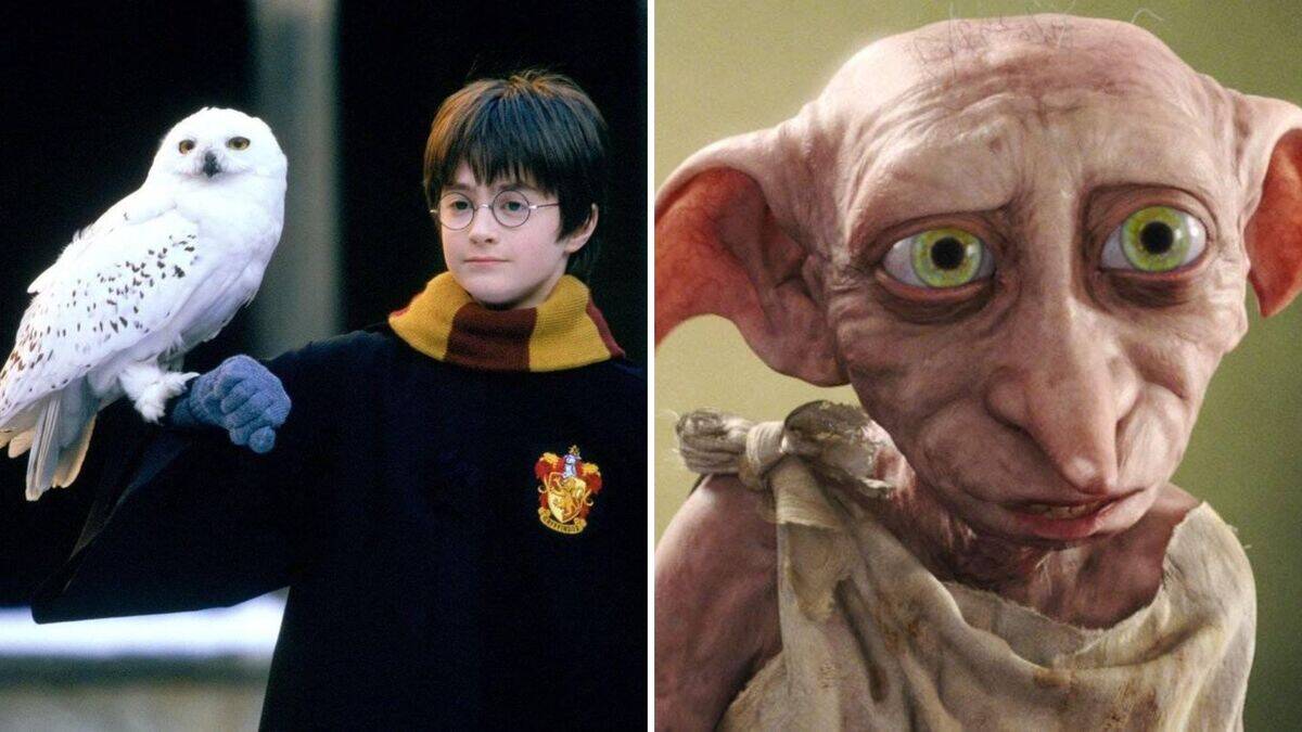 Magical Behind-The-Scenes Secrets About 'Harry Potter'
