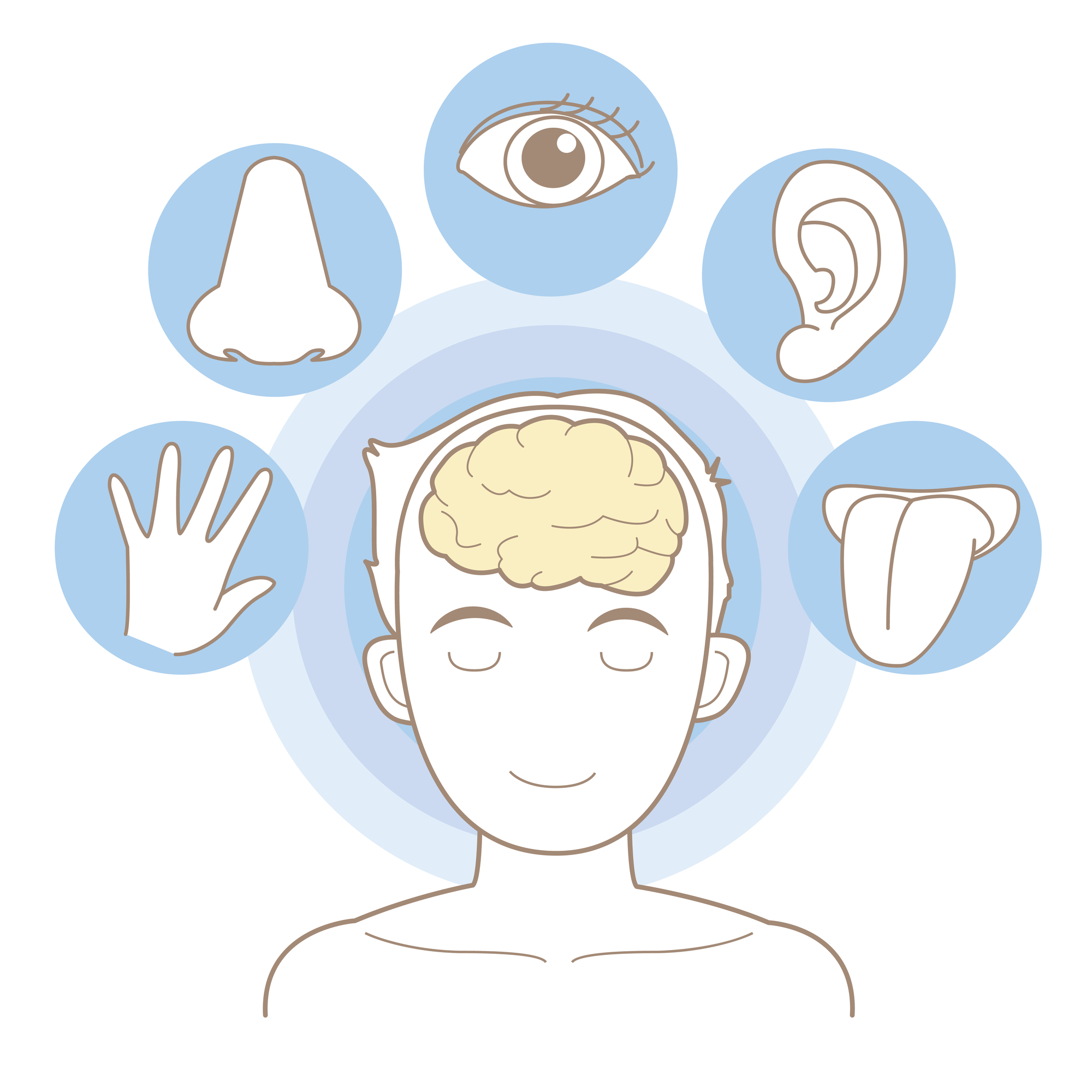 16 Human Senses Most People Don’t Know About