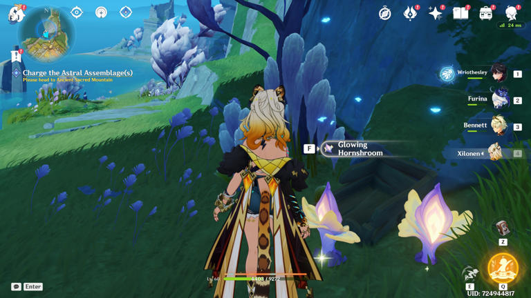 Genshin Impact Ineffa materials and kit