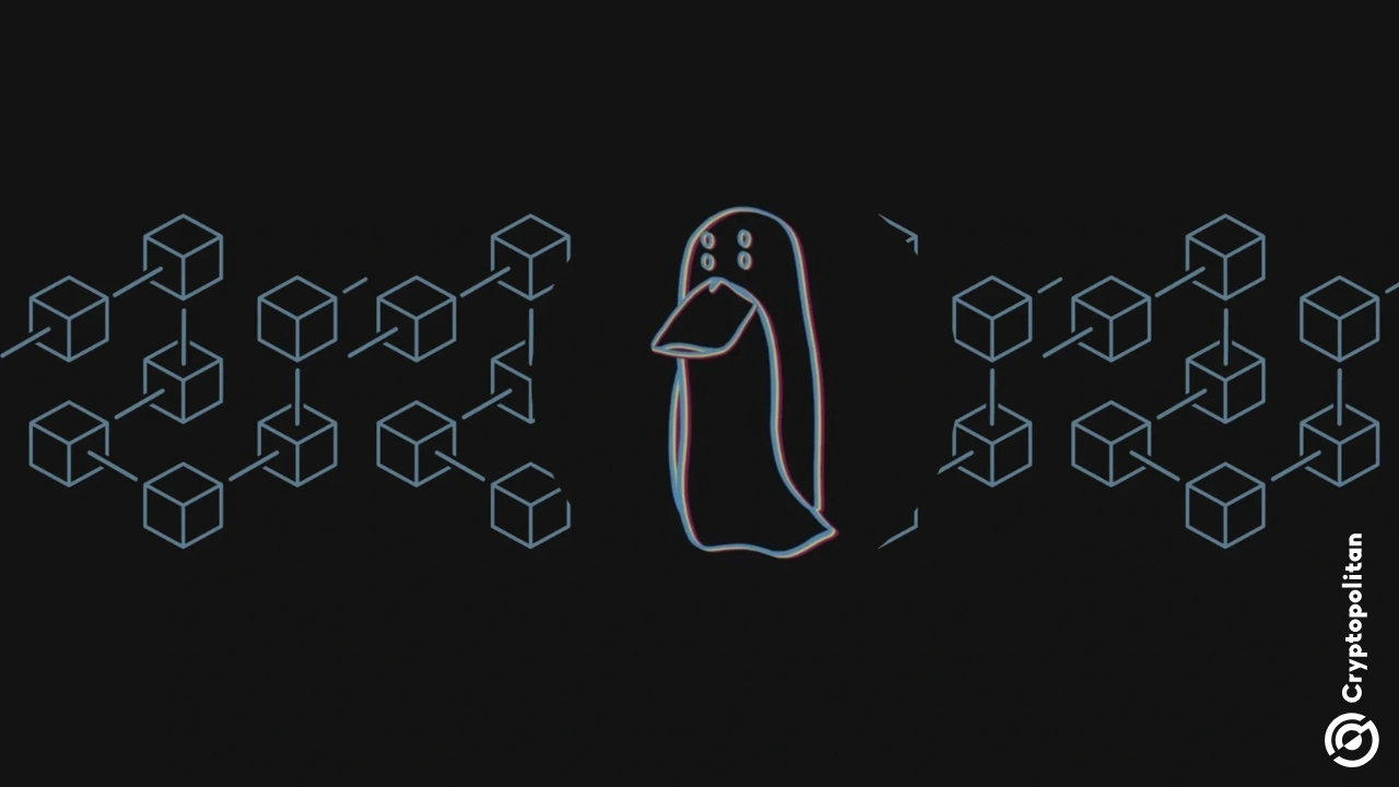 ZachXBT uncovers a major $4 million social engineering scam