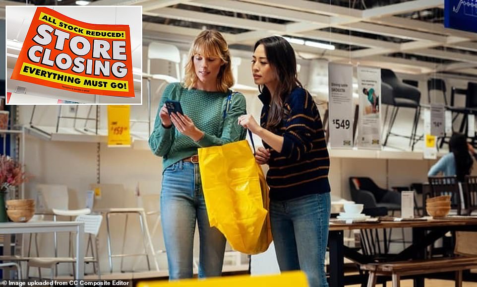 Le secret des chats roux enfin dévoilé par la science