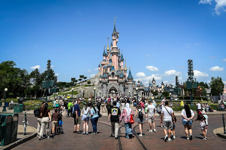 Disneyland Paris booked for sick $150K ‘wedding’ between adult man and ...