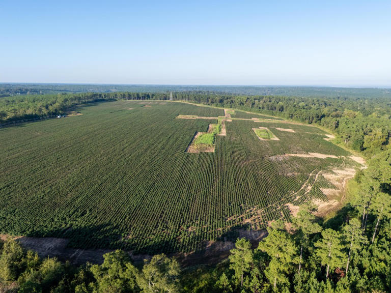 Jake Paul has spent $39M for a massive Georgia ranch — ‘I wanted a ...
