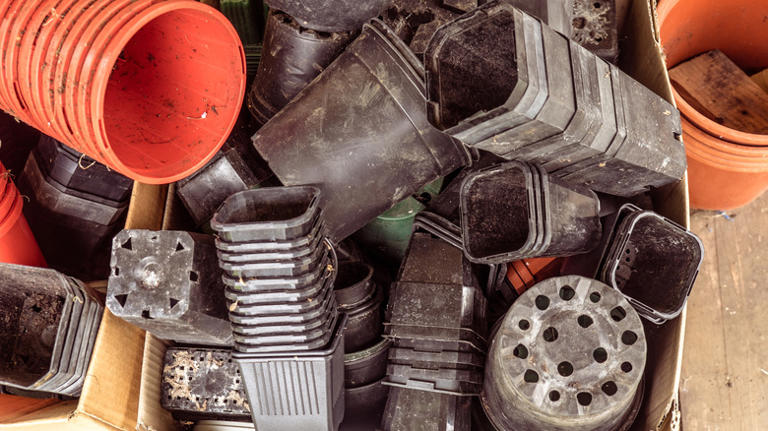 The Clever Way You Could Be Reusing An Empty Plastic Nursery Pot In The ...