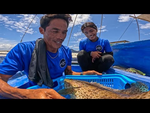 Unveiling the secrets of the underwater world