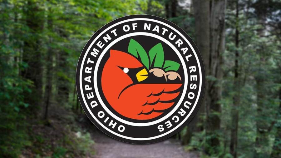 Ohio symbols: How many do you know?