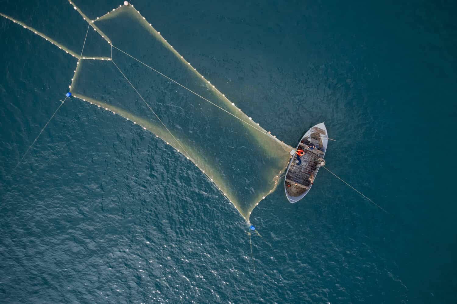 The Future of Ocean Farming