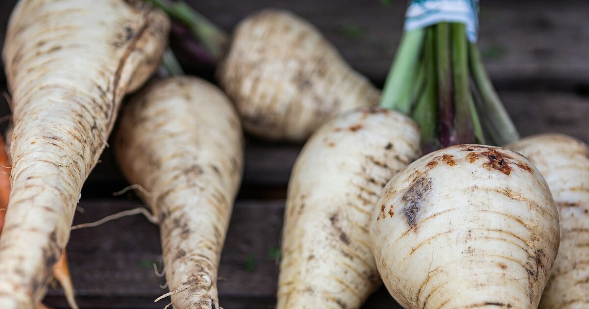 10 Gardening Tips For Growing Full And Nutritious Parsnips