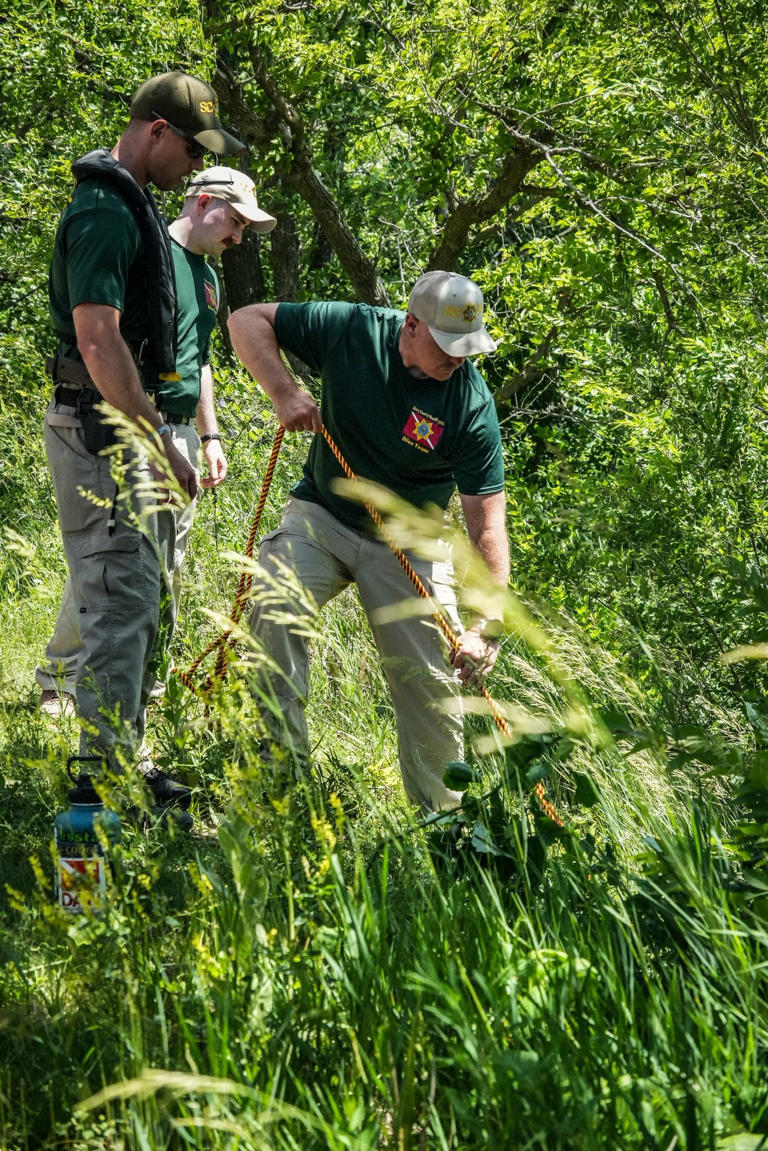 'It was mind-blowing': Owner of stolen Ford Ranger aids recovery ...