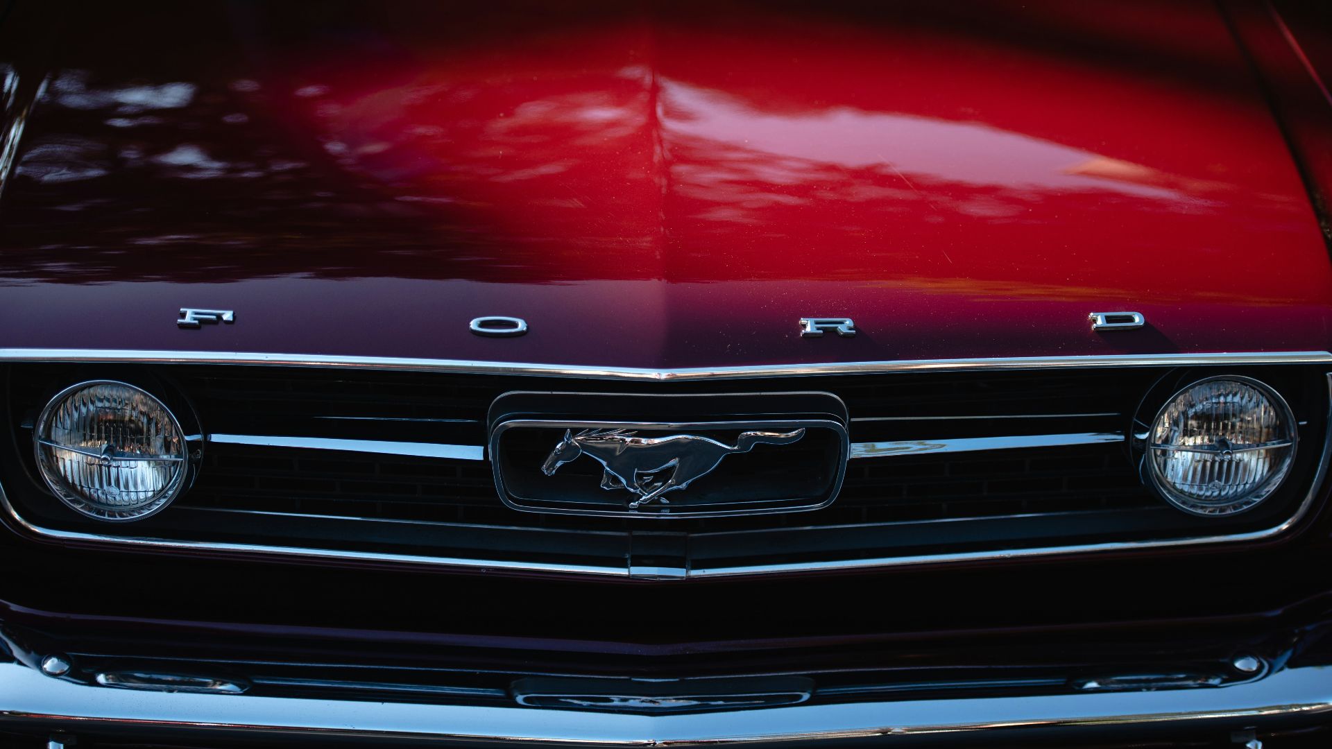 The 20 Rarest Mustangs You May Never See With Your Own Eyes
