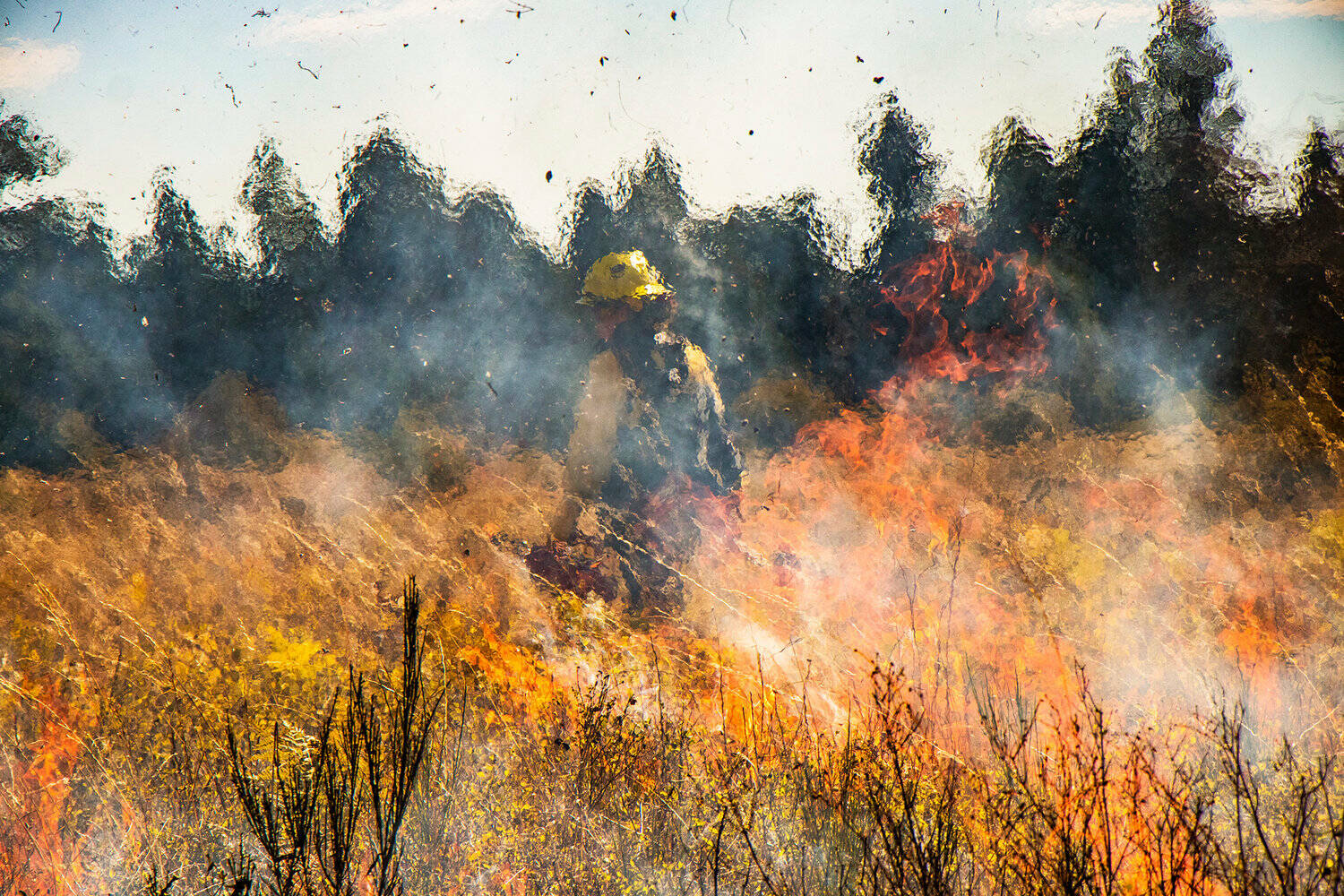WDFW plans controlled burns on Thurston County wildlife areas