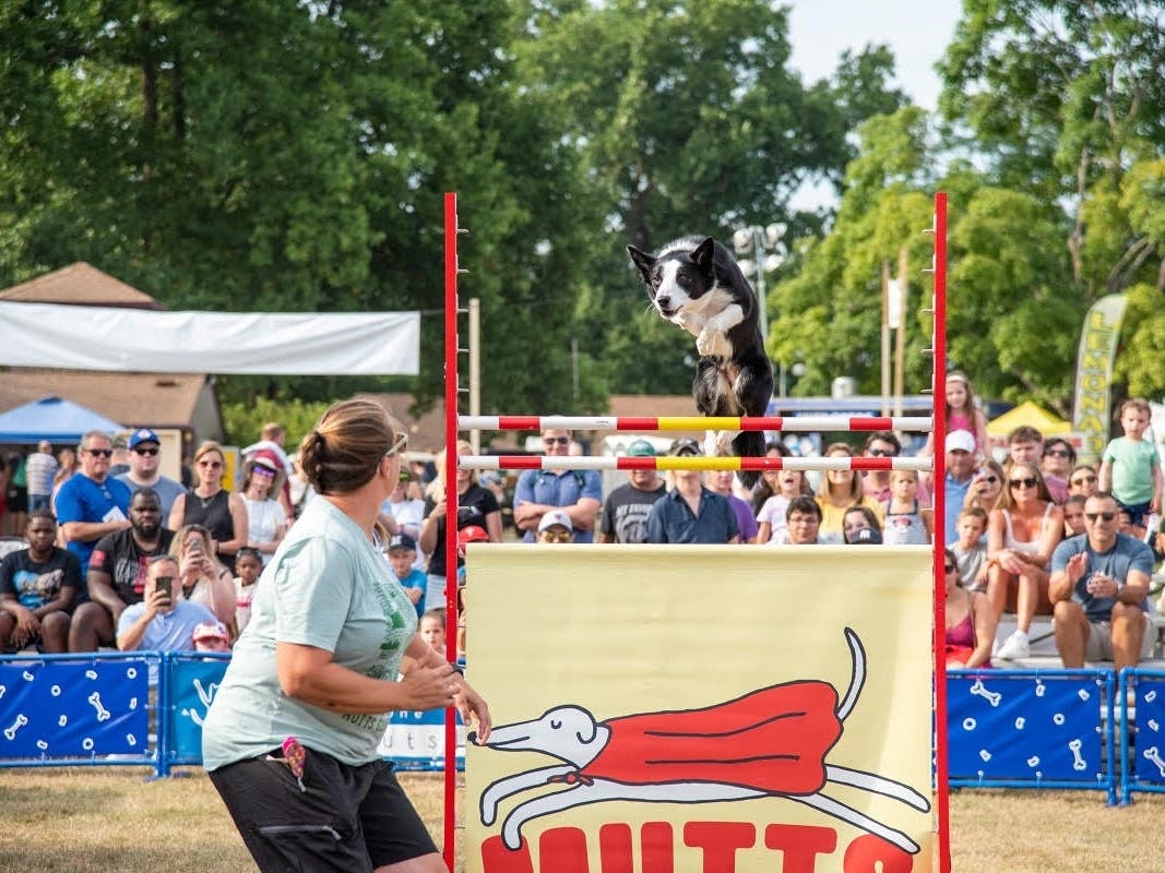 Monmouth County Fair Guide 2025: What To Know