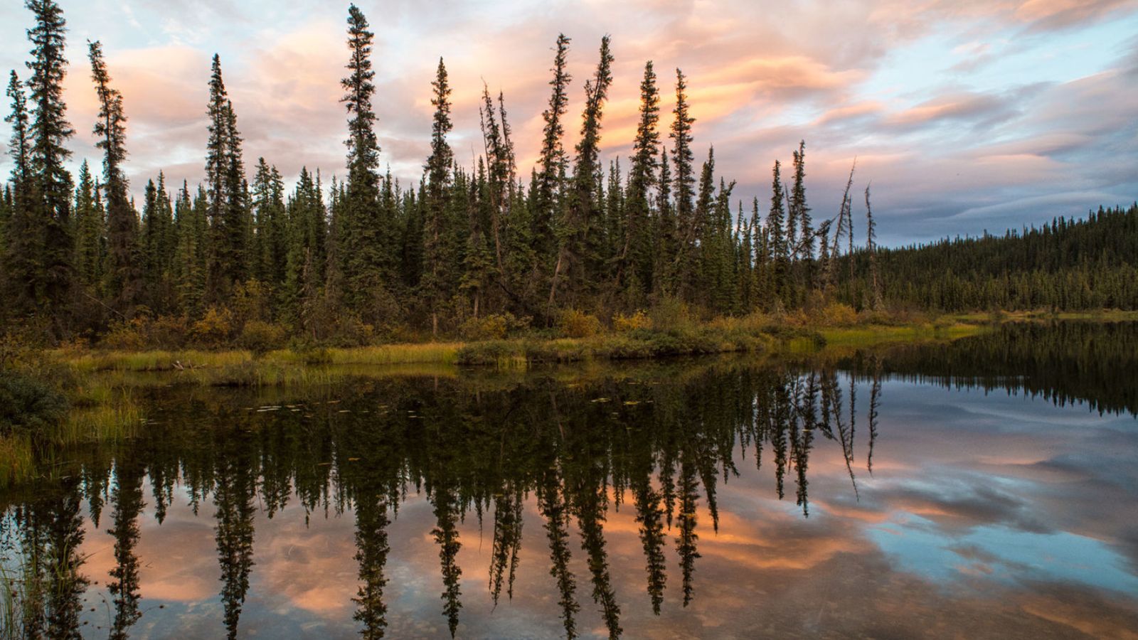24 Reasons Canada Is Becoming the World’s New Favorite Place to Live