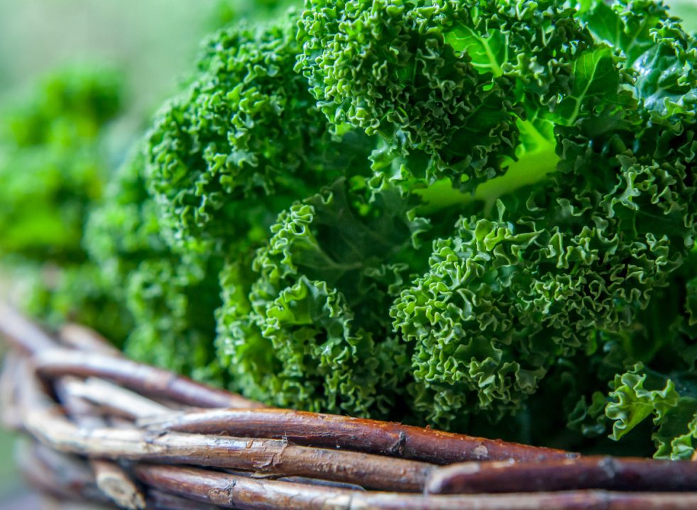 I'm a Weight Loss Expert and These Are the 11 Foods I Eat To Burn ...