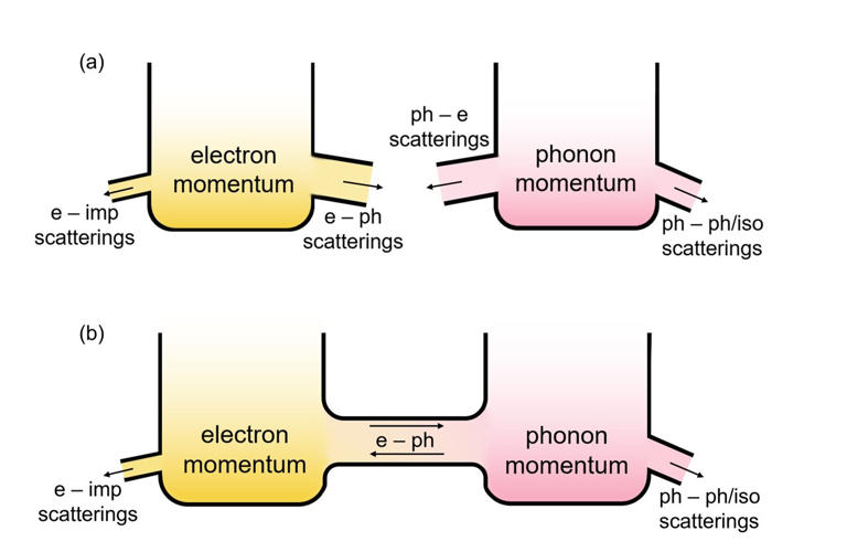 Coupled electrons and phonons may flow like water in 2D semiconductors